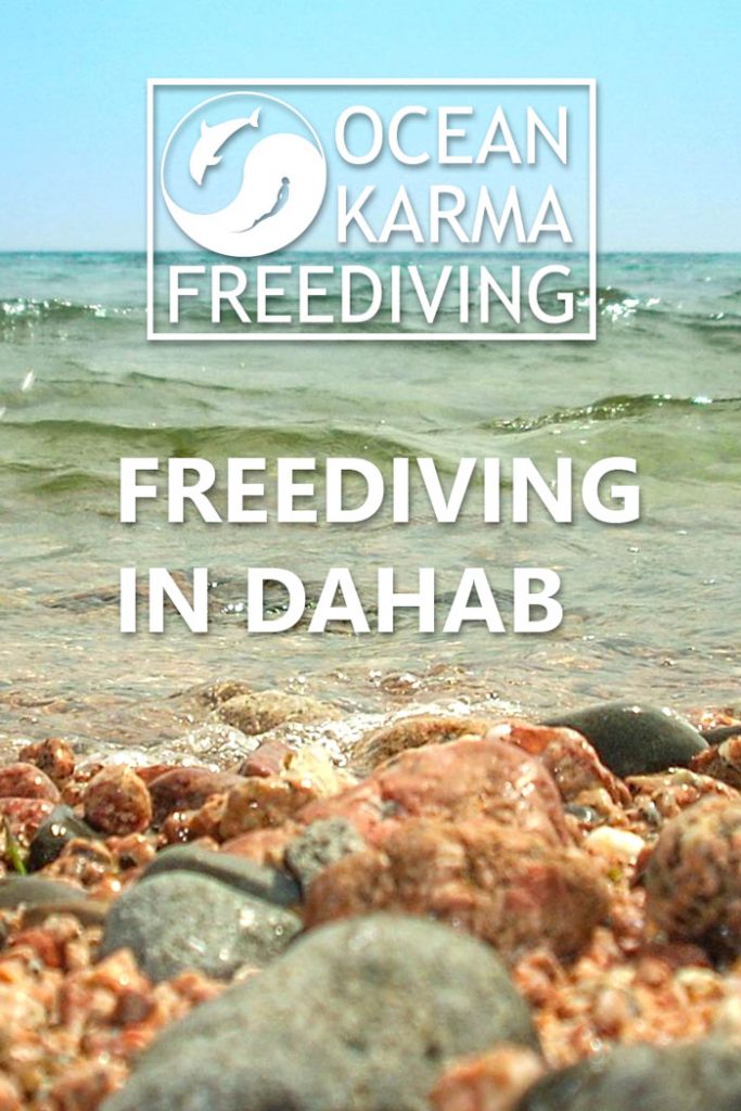 Freediving in Dahab - Ocean Karma Freediving